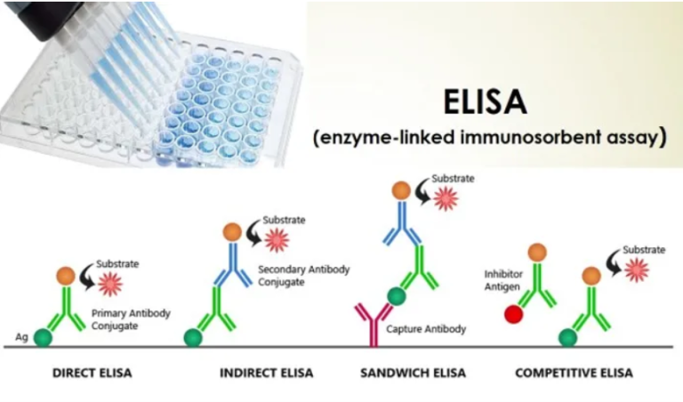 Ảnh Elisa – Phòng thí nghiệm trong điểm công nghệ sinh học Thú Y Ảnh Elisa – Phòng thí nghiệm trong điểm công nghệ sinh học Thú Y